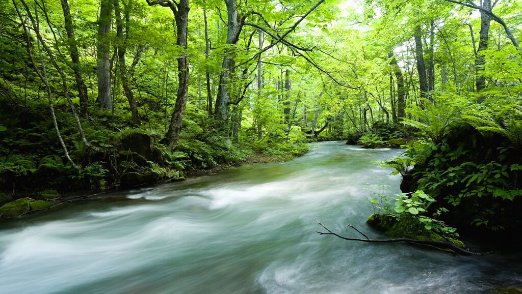 forestriver.jpg - Mark Miller Architecture, Sustainable Passive Homes ...